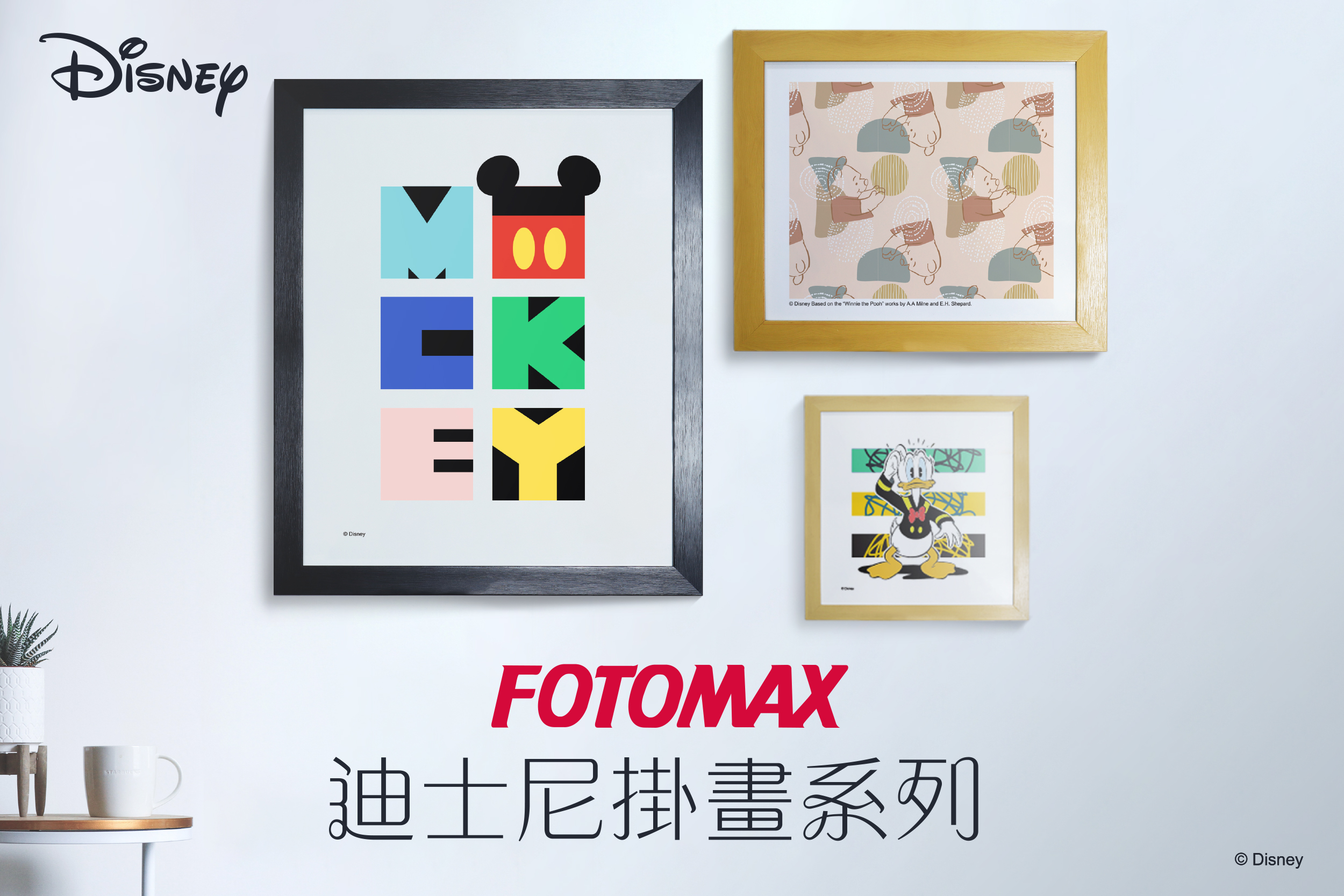 FOTOMAX